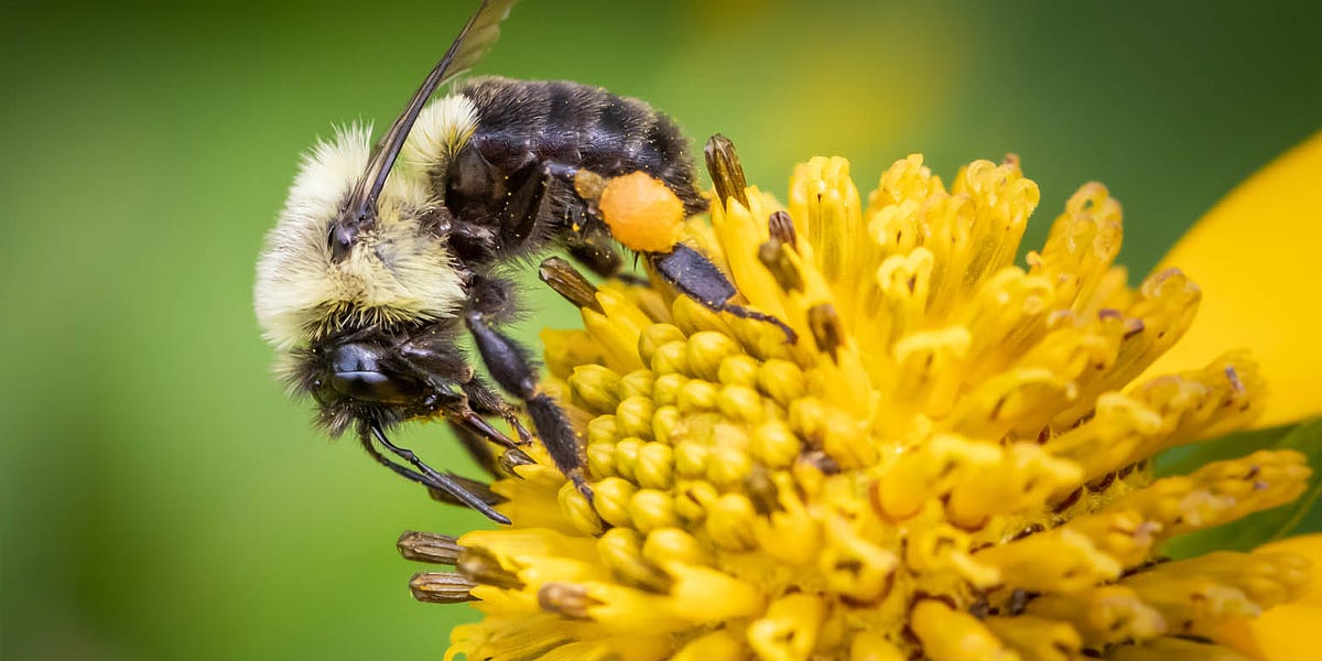 Indignity Vol. 1, No. 27: Easy come, easy go.