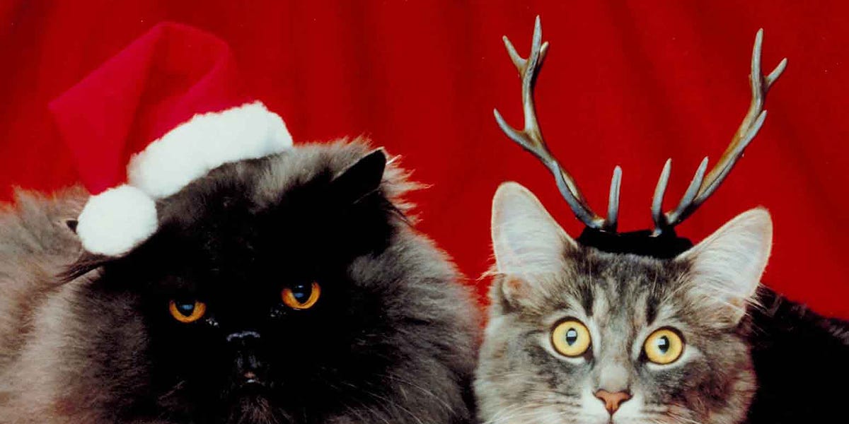 Indignity Vol. 1, No. 51: Bah Rum Pum Pum Humbug!