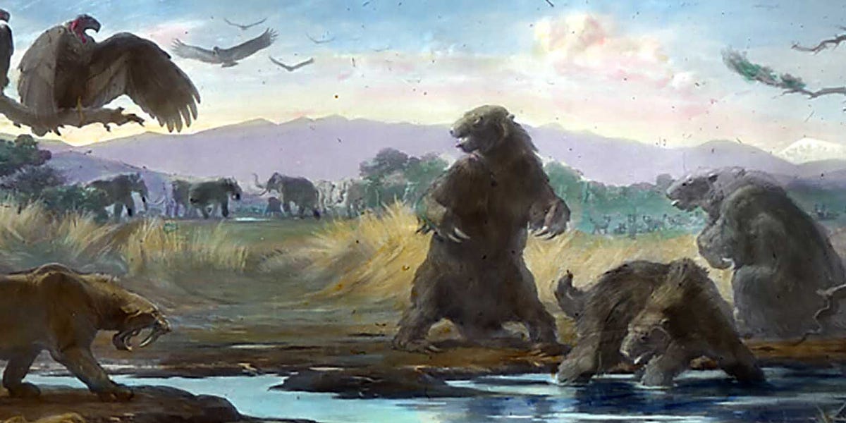 Painted into a corner. - by Joe MacLeod and Tom Scocca