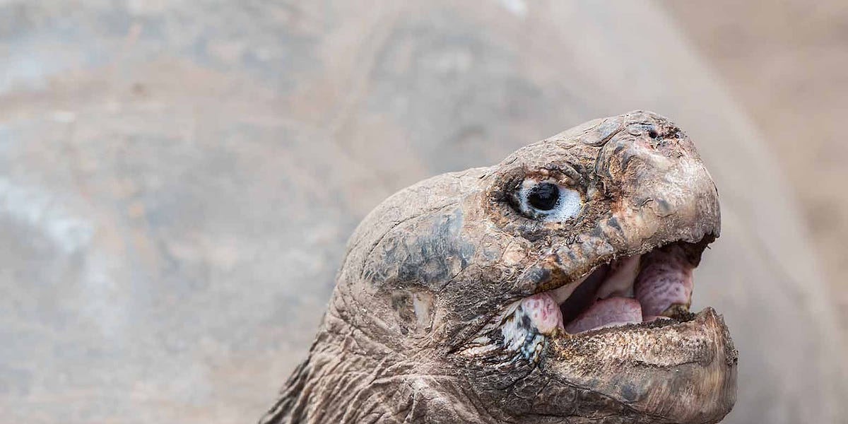 MR WRONG: On the clock - by Joe MacLeod and Tom Scocca