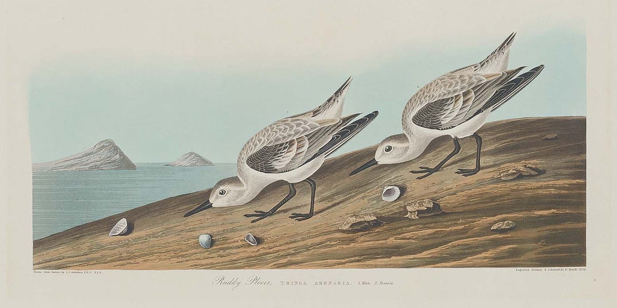 Wordle Postgame Report, February 21, 2023 - by Tom Scocca